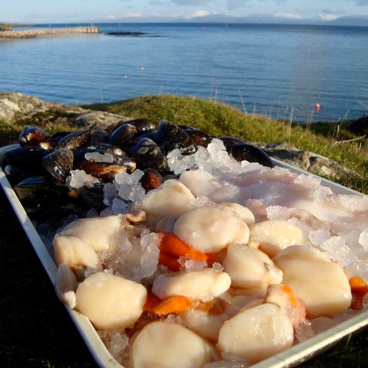 Food and Drink - The Isle of Eigg