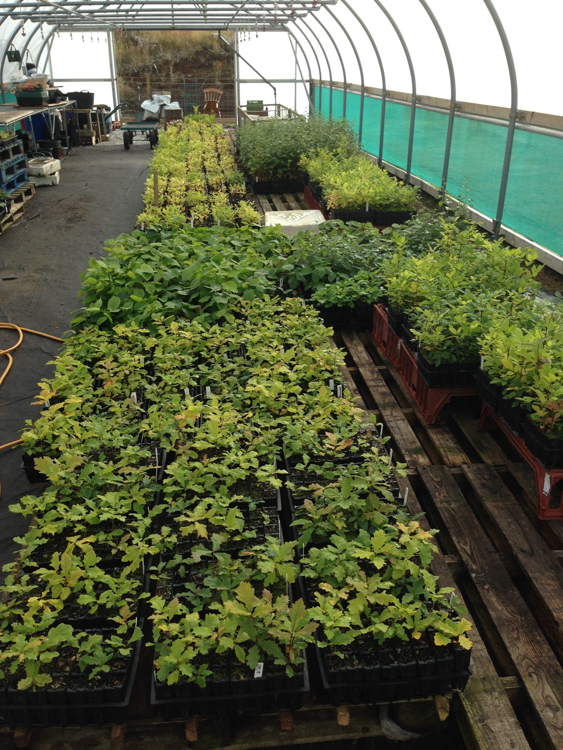 IMG_3005 - The Isle of Eigg